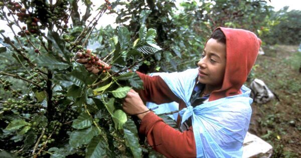 FSAR – Environmental Defense & Human Rights in Honduras